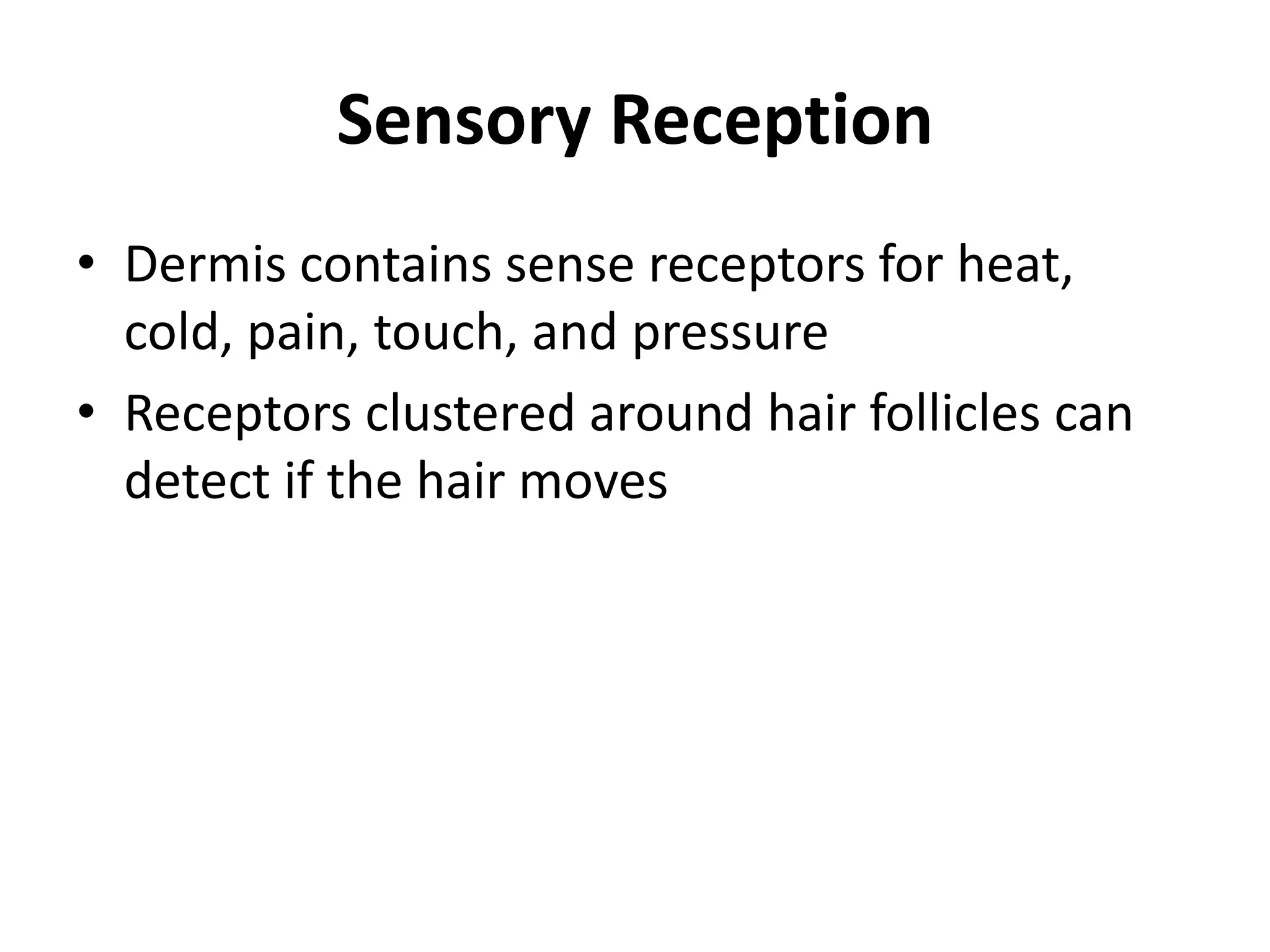 Structure and functions of the skin | PPTX