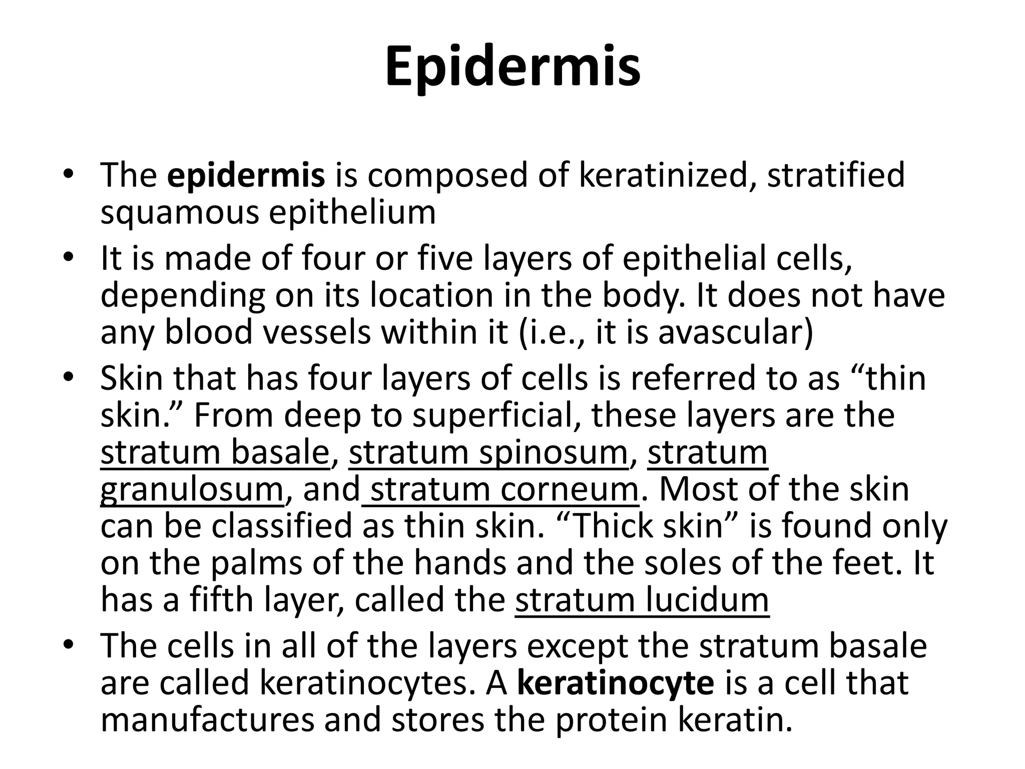 Structure and functions of the skin | PPTX