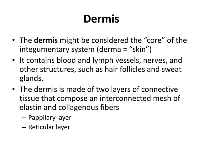 Structure and functions of the skin | PPTX