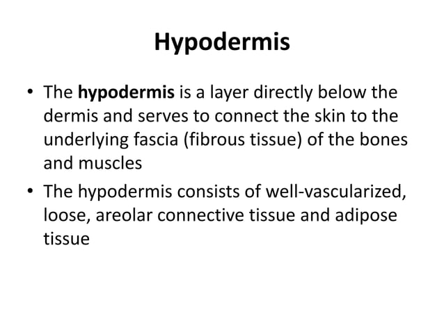 Structure and functions of the skin | PPTX