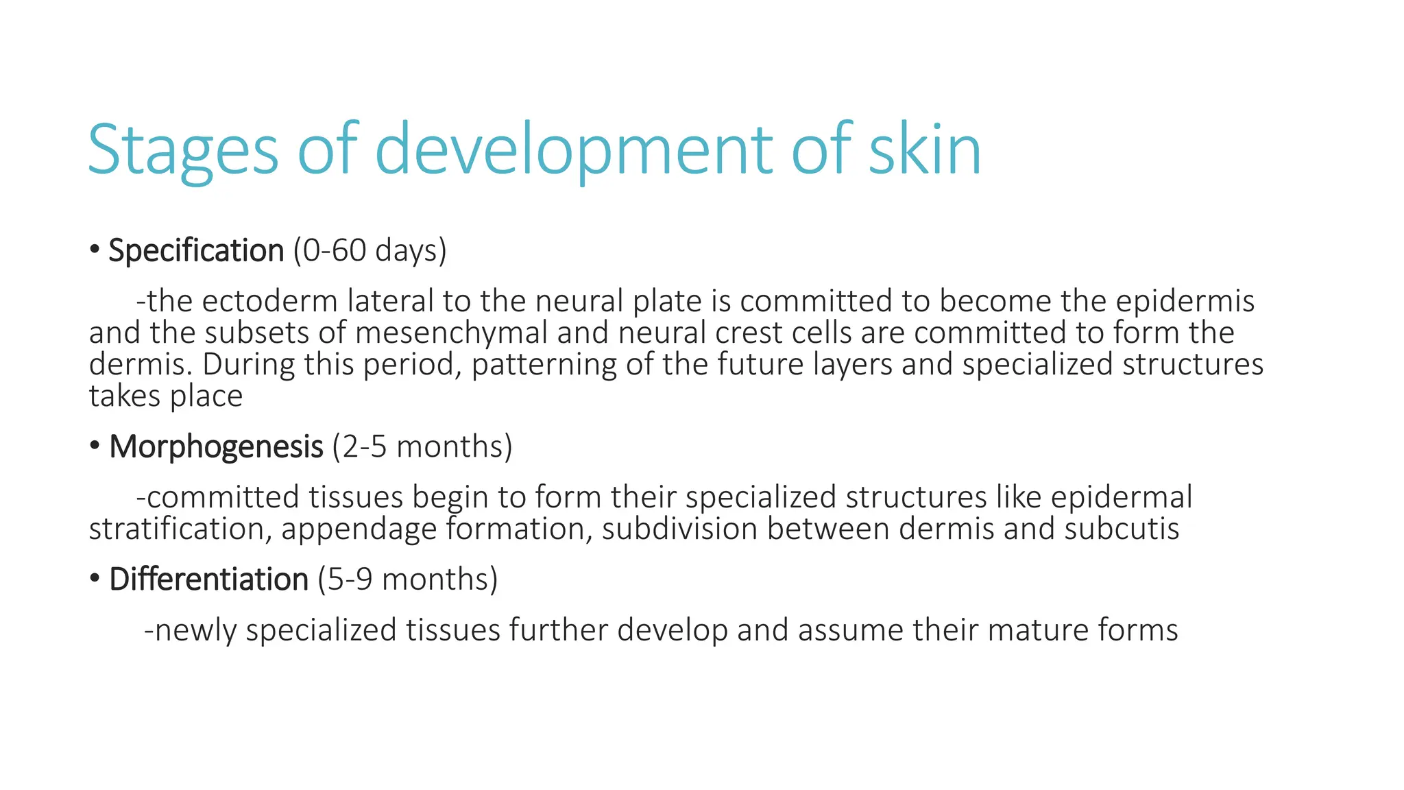 STRUCTURE AND FUNCTIONS OF THE SKIN.pptx