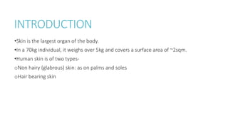 STRUCTURE AND FUNCTIONS OF THE SKIN.pptx