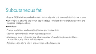 STRUCTURE AND FUNCTIONS OF THE SKIN.pptx