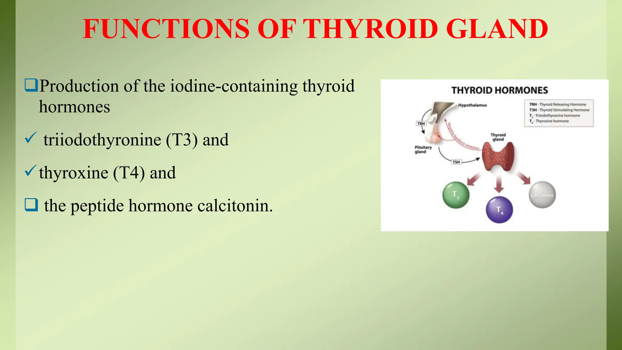 STRUCTURE AND FUNCTIONS OF THYROID GLAND.pptx