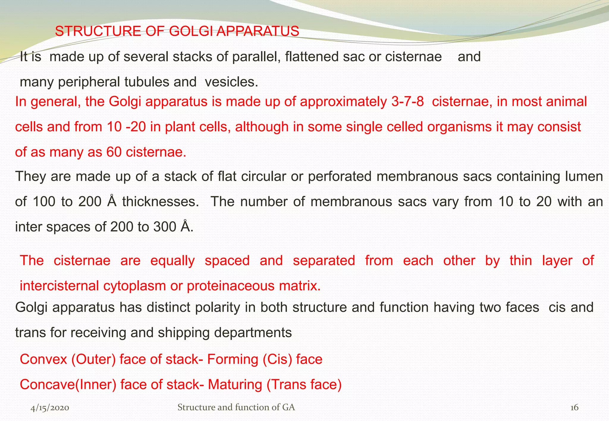 Structure and functon of golgi apparatus | PPTX