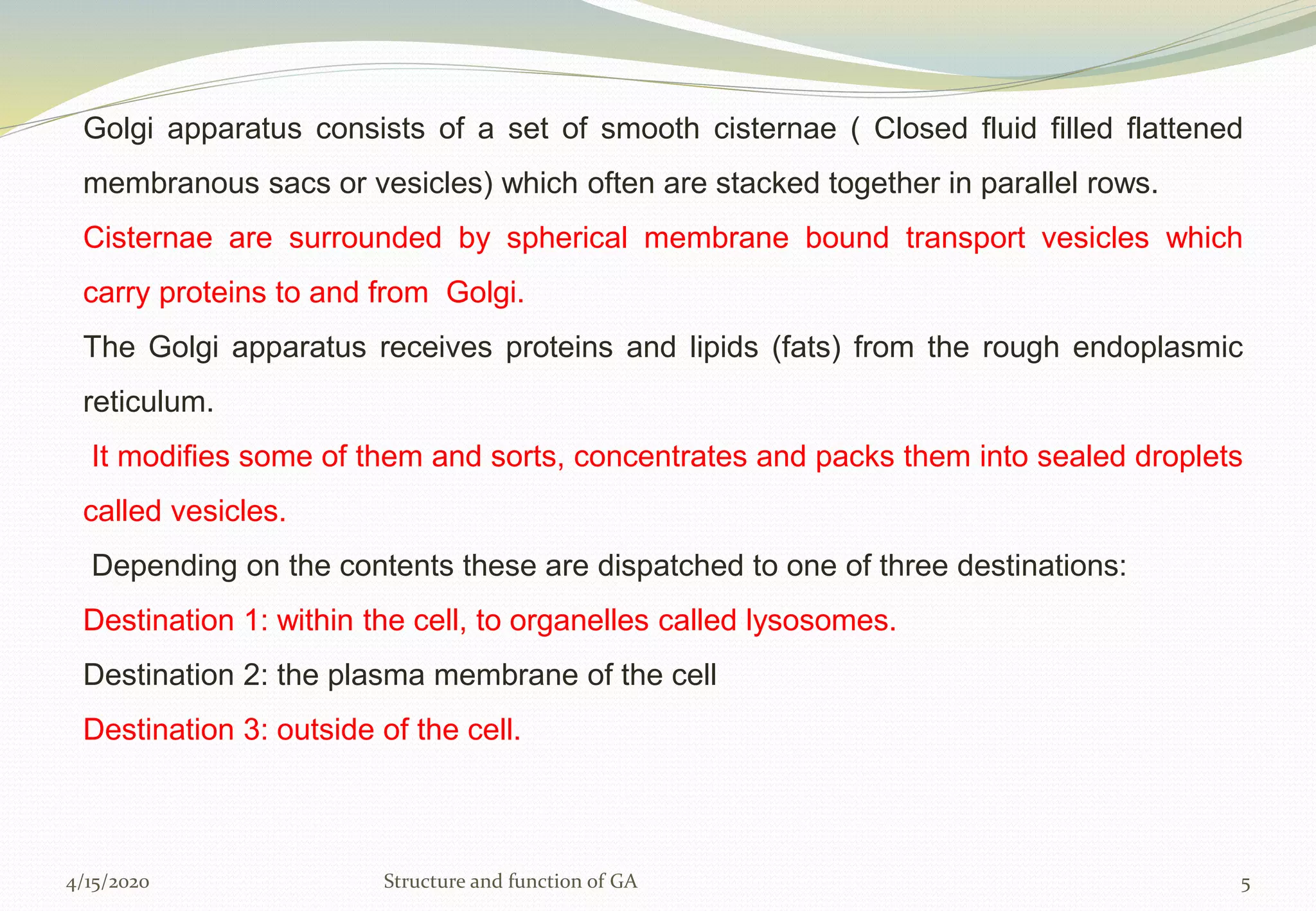 Structure and functon of golgi apparatus | PPTX