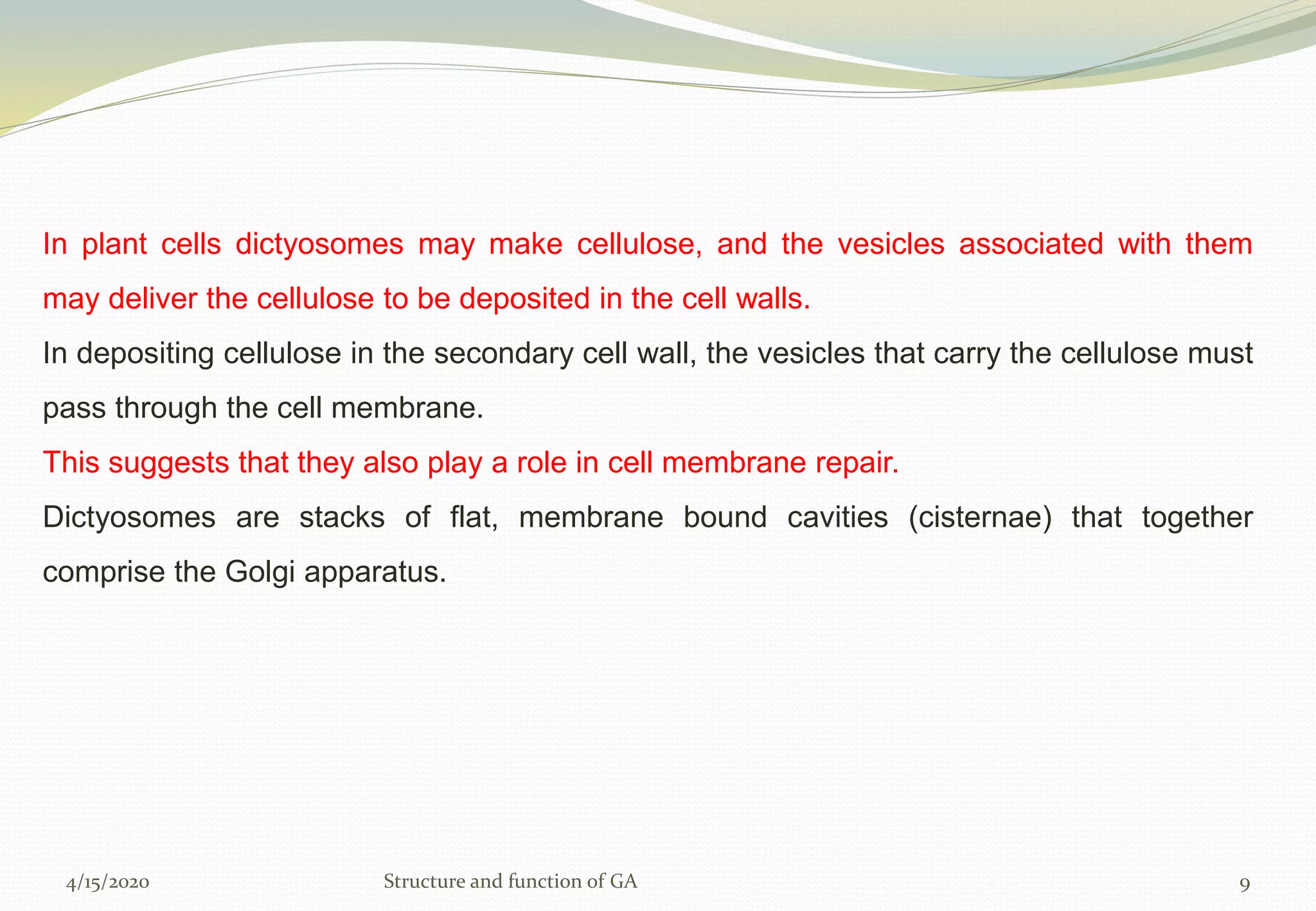 Structure and functon of golgi apparatus | PPTX