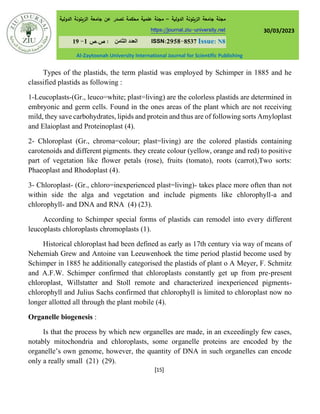 Structure and genesis of mitochondrial and chloroplast, DNA replication ...