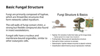 Structure And Importance Of Fungi (1).pptx