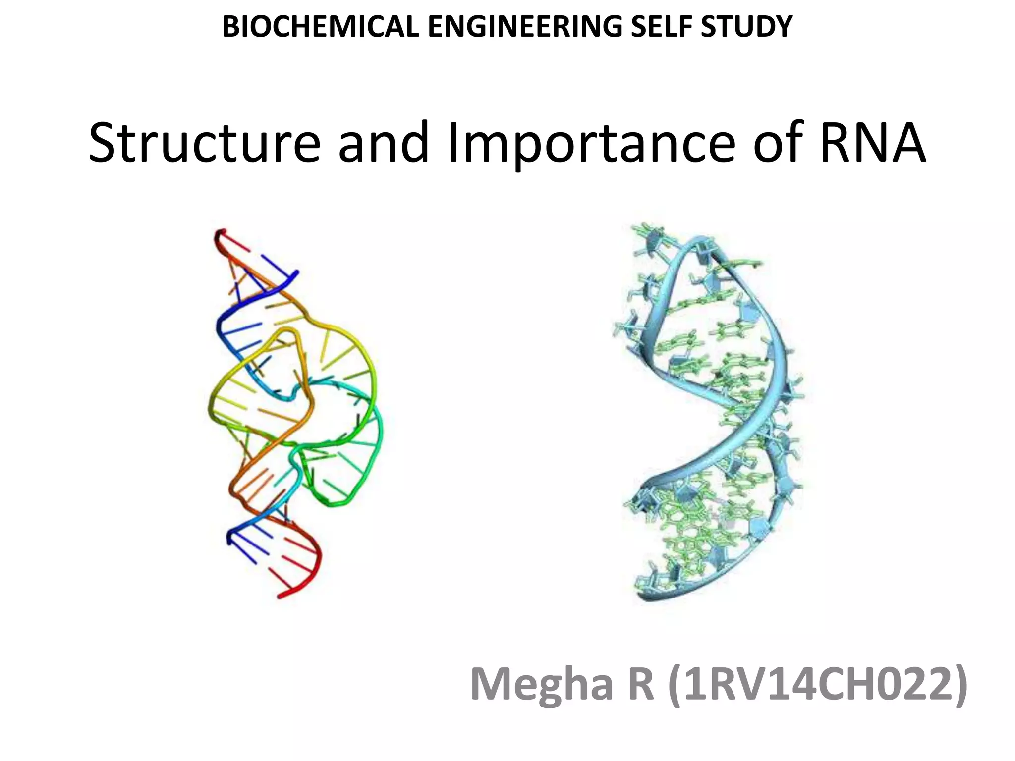 Structure and importance of RNA | PPTX