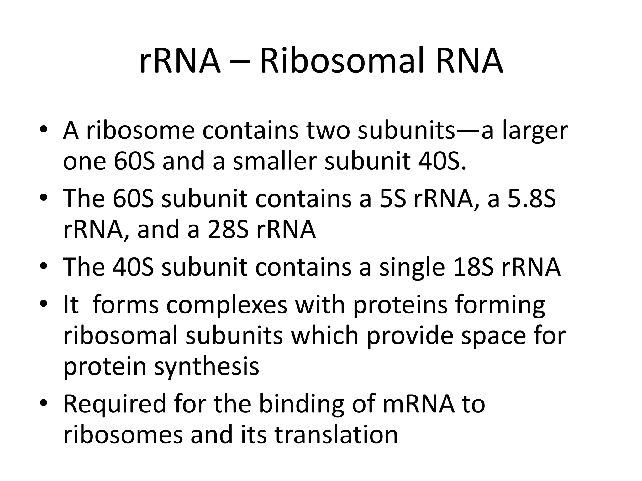 Structure and importance of RNA | PPTX