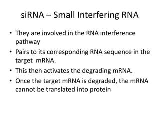 Structure and importance of RNA | PPTX | Biological Sciences | Science