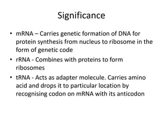 Structure and importance of RNA | PPTX | Biological Sciences | Science