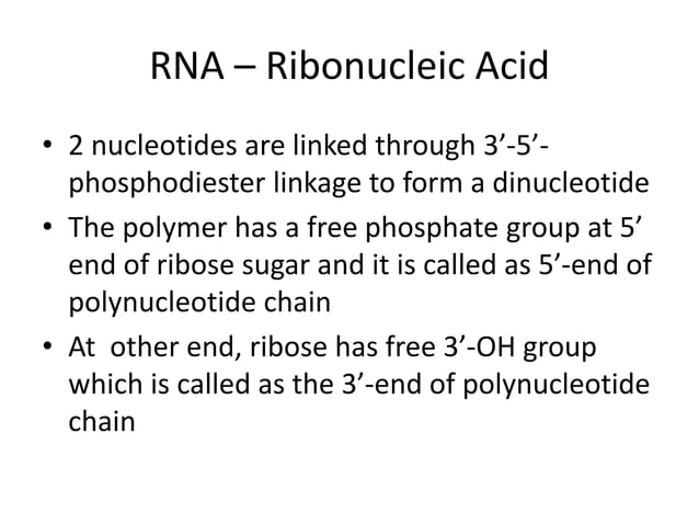 Structure and importance of RNA | PPTX | Biological Sciences | Science