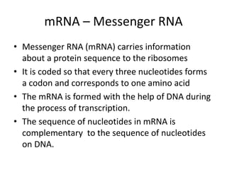 Structure and importance of RNA | PPTX