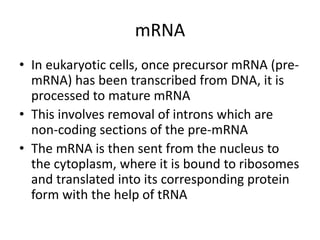 Structure and importance of RNA | PPTX | Biological Sciences | Science