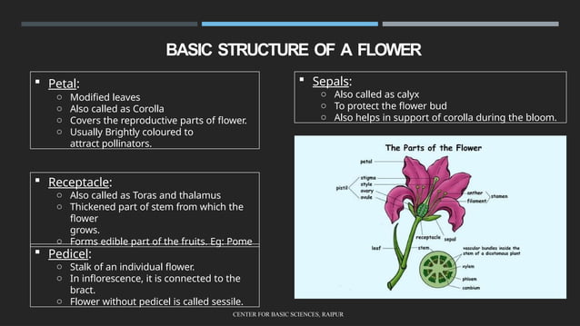 Structure And Life cycle of angiosperms.pptx