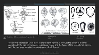 Structure And Life cycle of angiosperms.pptx