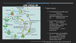 Structure And Life cycle of angiosperms.pptx
