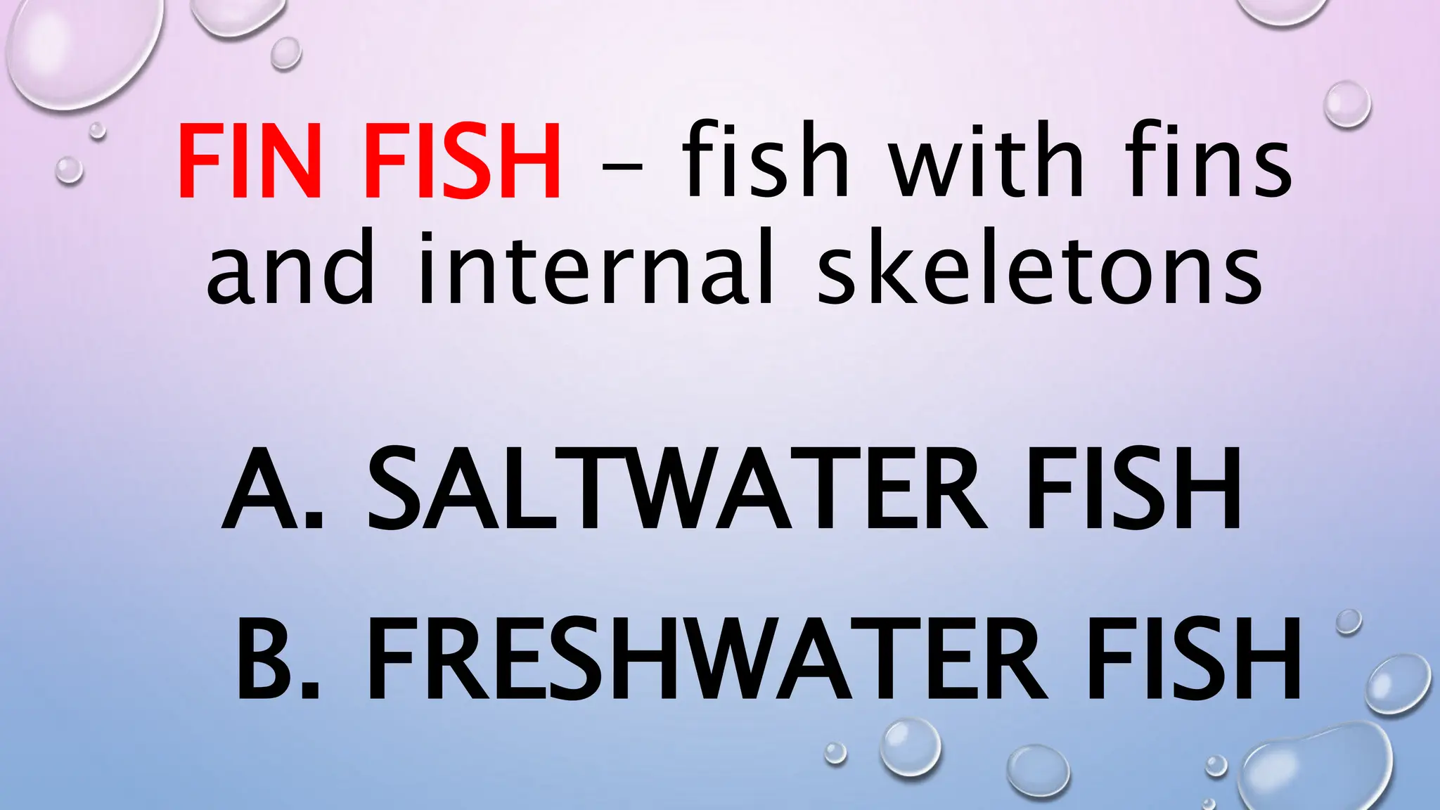 COT Structure and market forms of fish.pptx