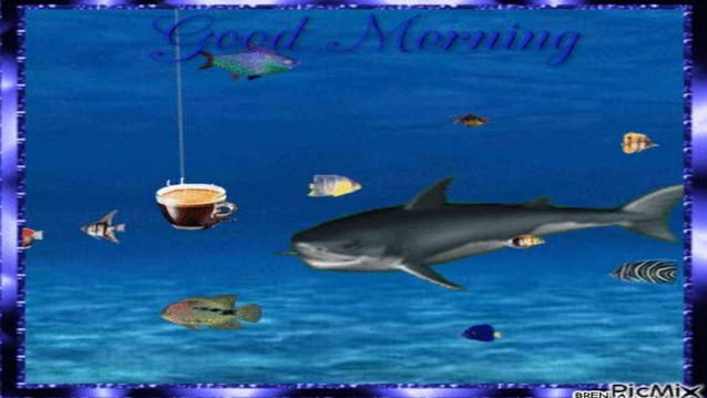 COT Structure and market forms of fish.pptx