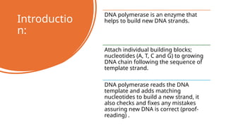 Structure and Mechanism of DNA polymerase.pptx