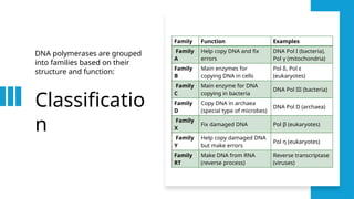 Structure and Mechanism of DNA polymerase.pptx