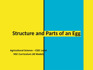 structure and parts of an egg 2025 power point | PPTX