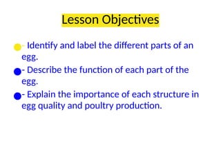 structure and parts of an egg 2025 power point | PPTX
