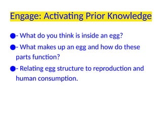 structure and parts of an egg 2025 power point | PPTX