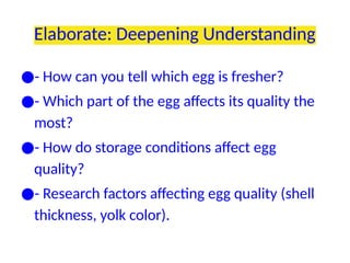 structure and parts of an egg 2025 power point | PPTX