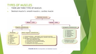 STRUCTURE AND PHYSICAL PROPERTY OF SKELETAL MUSCLE.pptx