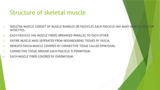 STRUCTURE AND PHYSICAL PROPERTY OF SKELETAL MUSCLE.pptx
