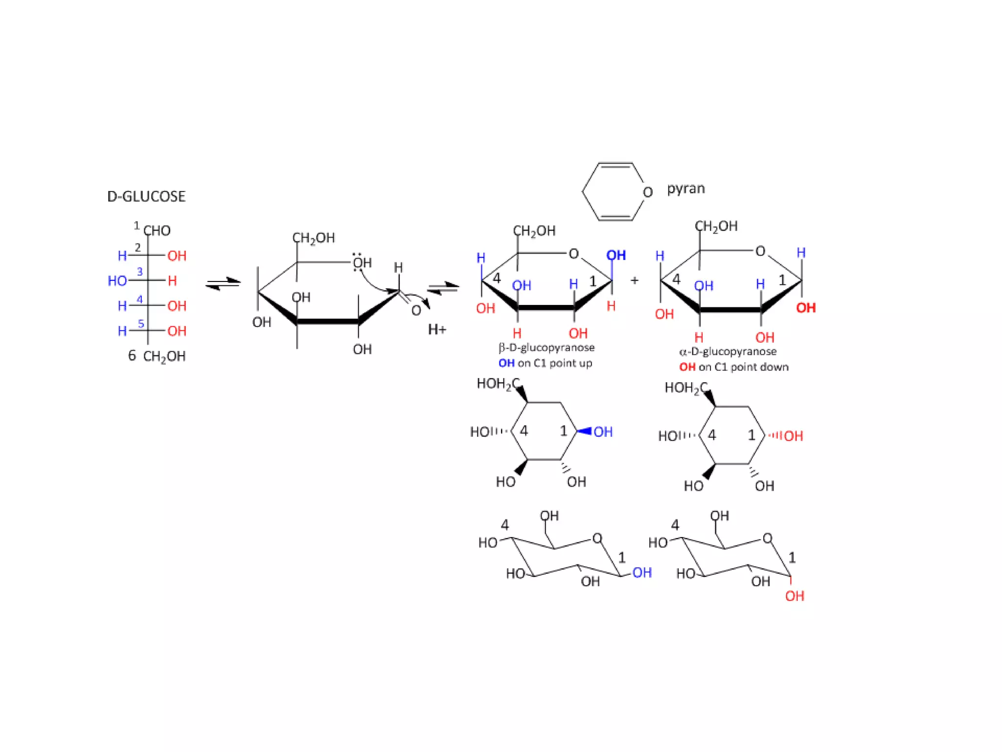 Structure and properties of glucose | PPTX