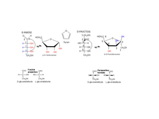 Structure and properties of glucose | PPTX