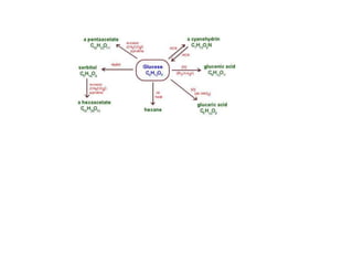 Structure and properties of glucose | PPTX