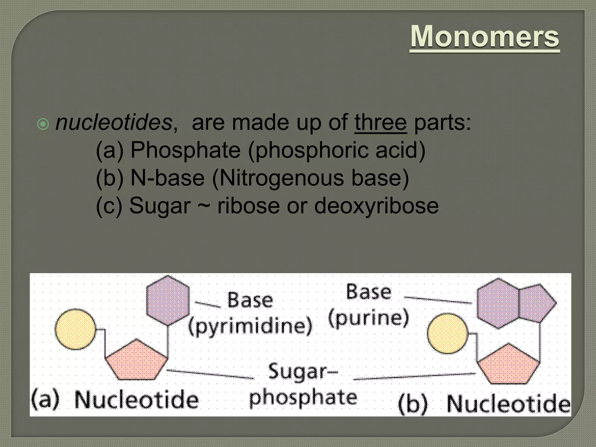 Structure and properties of nucleic acid | PPTX