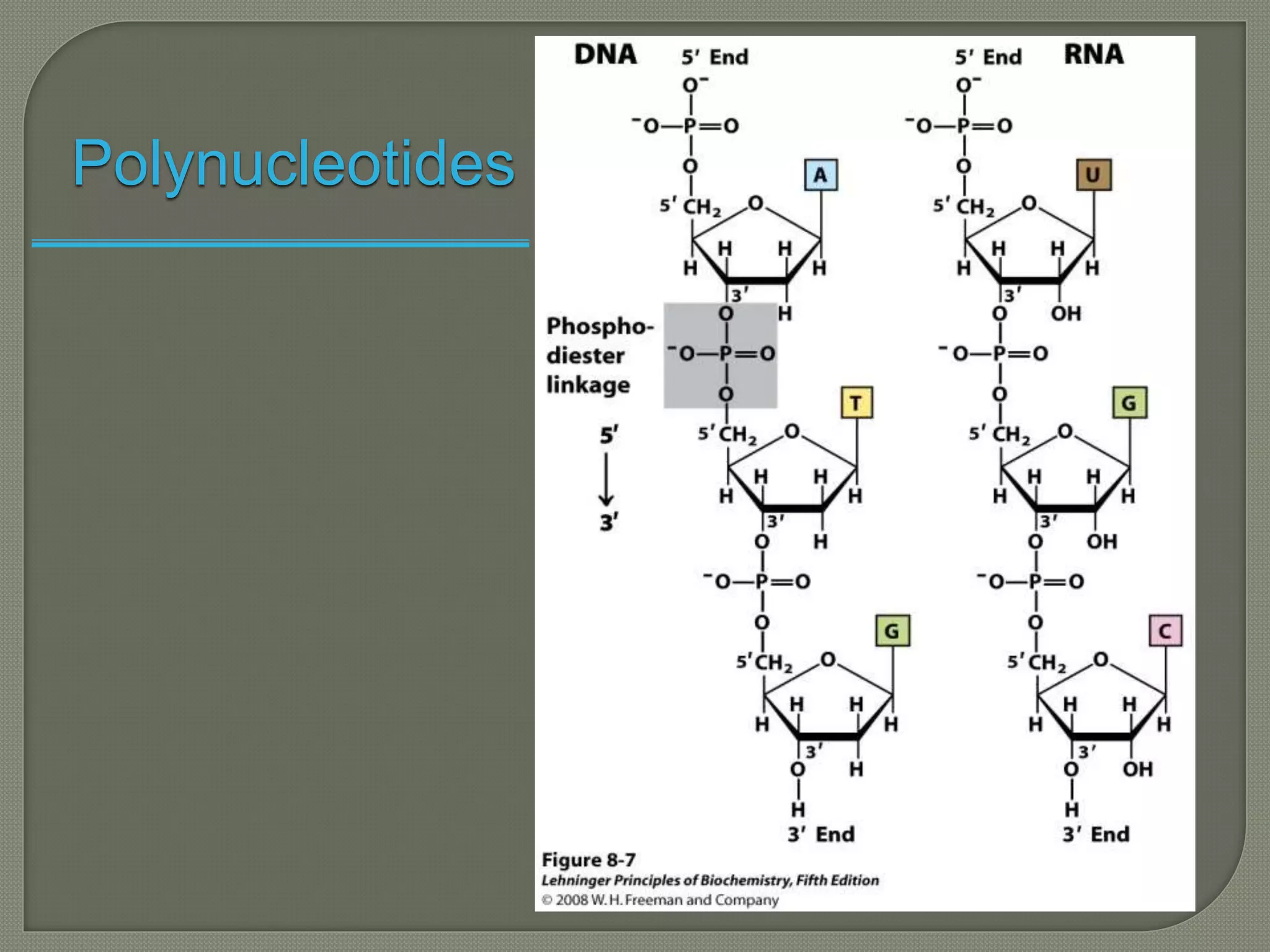 Structure and properties of nucleic acid | PPTX