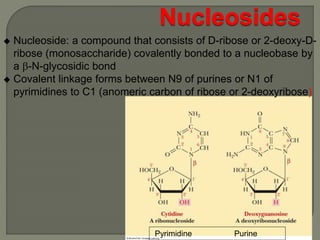 Structure and properties of nucleic acid | PPTX