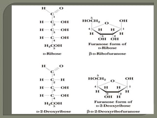 Deoxyribose Structure Linear