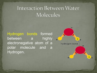 The Chemical Structure of Water | PPT