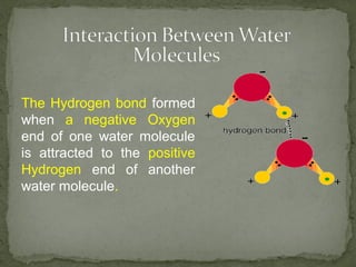 The Chemical Structure of Water | PPT