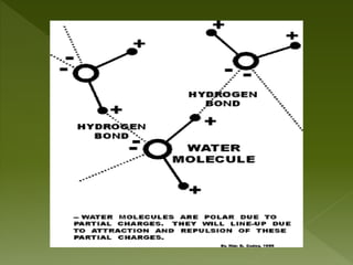 Structure and properties of water | PPTX