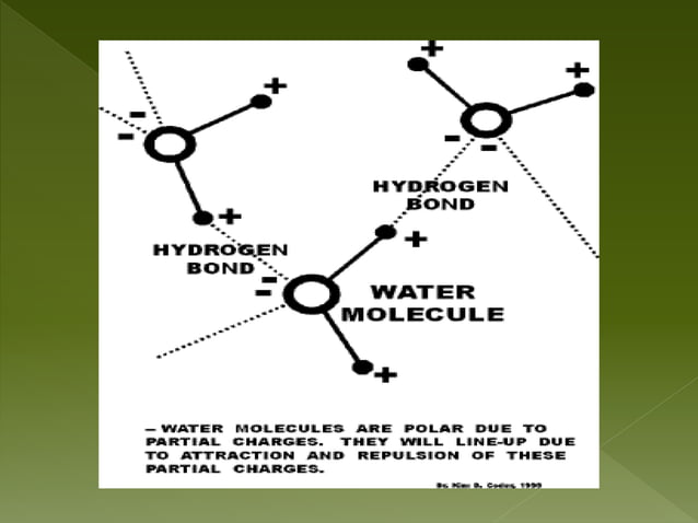 Structure and properties of water | PPTX | Chemistry | Science