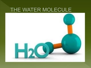 Structure and properties of water | PPTX