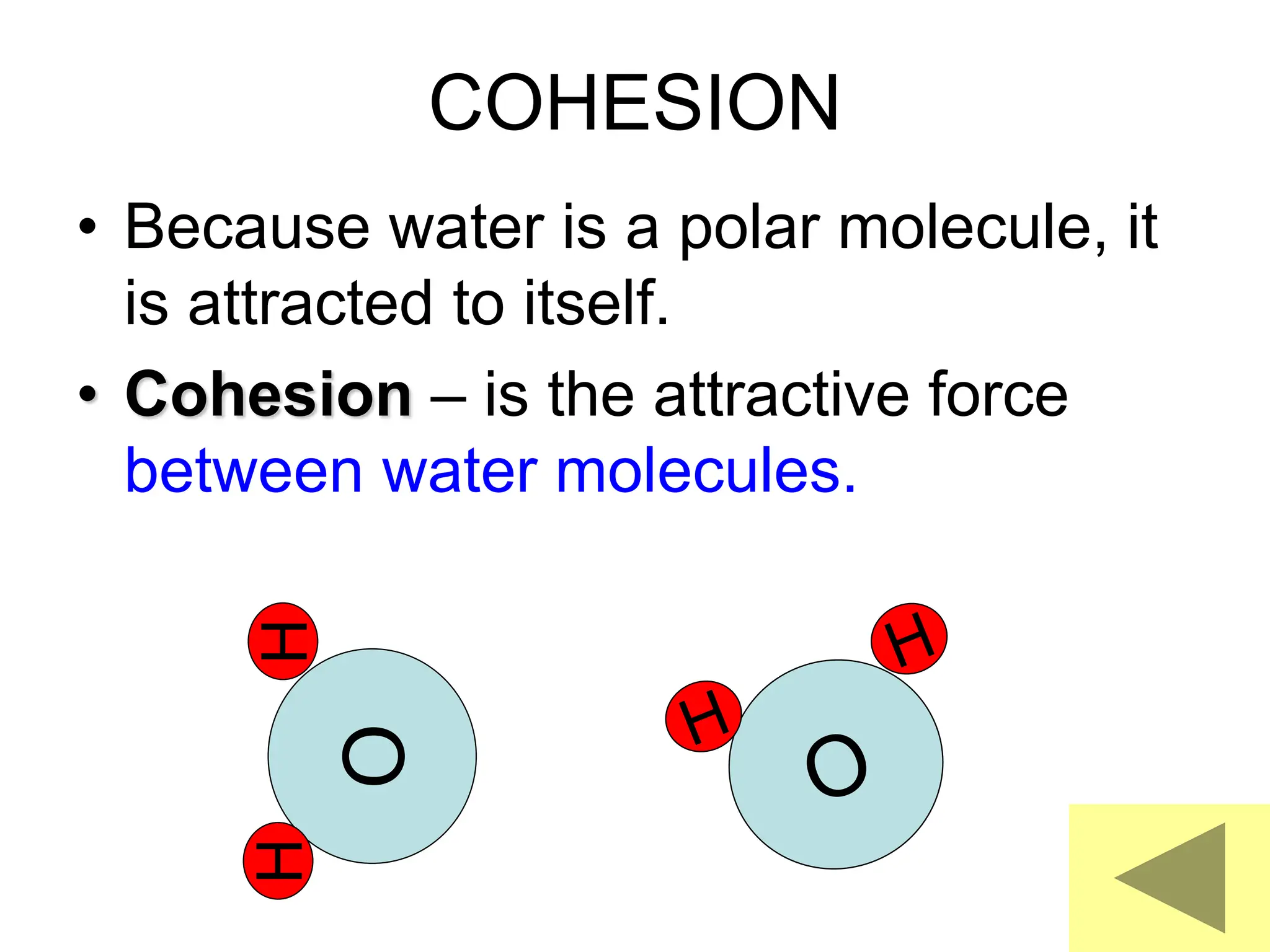Structure and Properties of Water.ppt