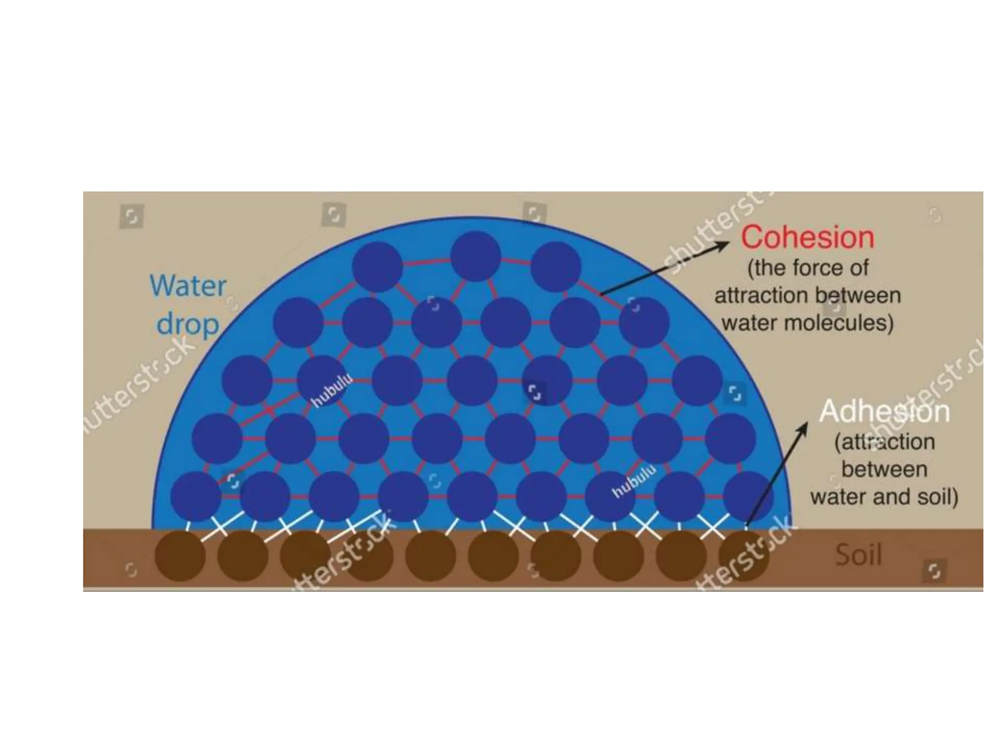 Structure and Properties of Water.ppt
