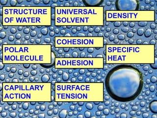 Structure and Properties of Water.ppt