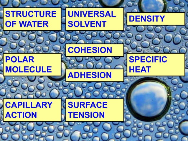 Structure and Properties of Water.ppt
