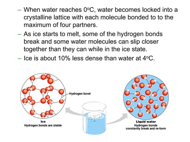 Structure and Properties of Water.ppt